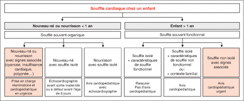 Souffle cardiaque | www.pedia-univ.fr
